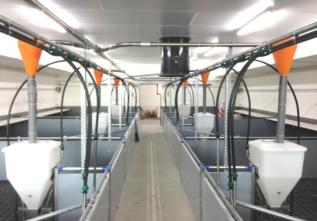 AIRFEED – you should know - TEWE Elektronic GmbH