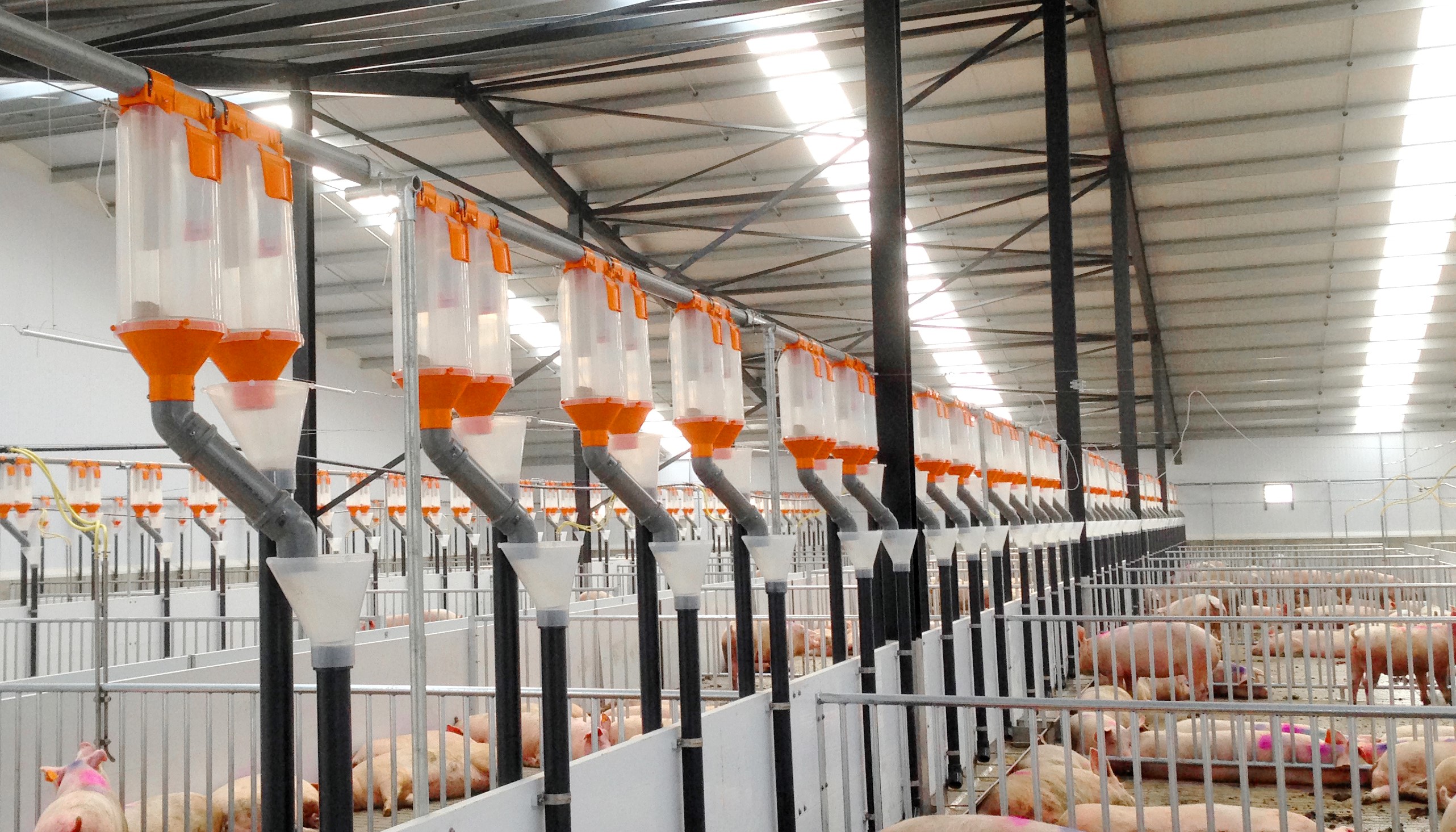 Group feeding – dry - TEWE Elektronic GmbH