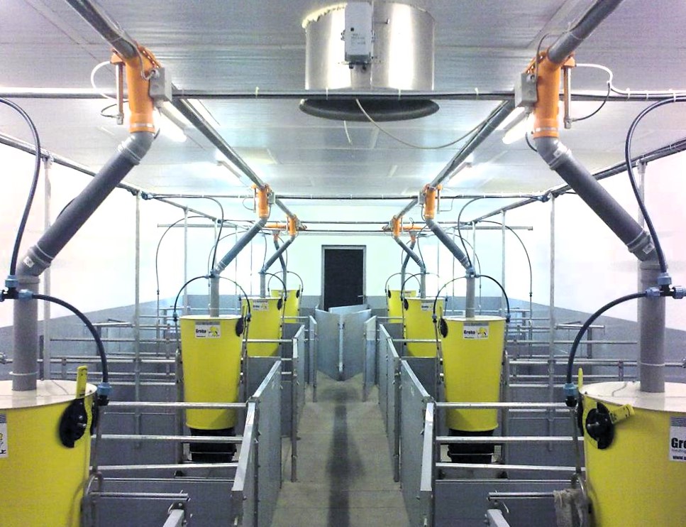 Phase feeding – dry - Fütterungstechnik | TEWE