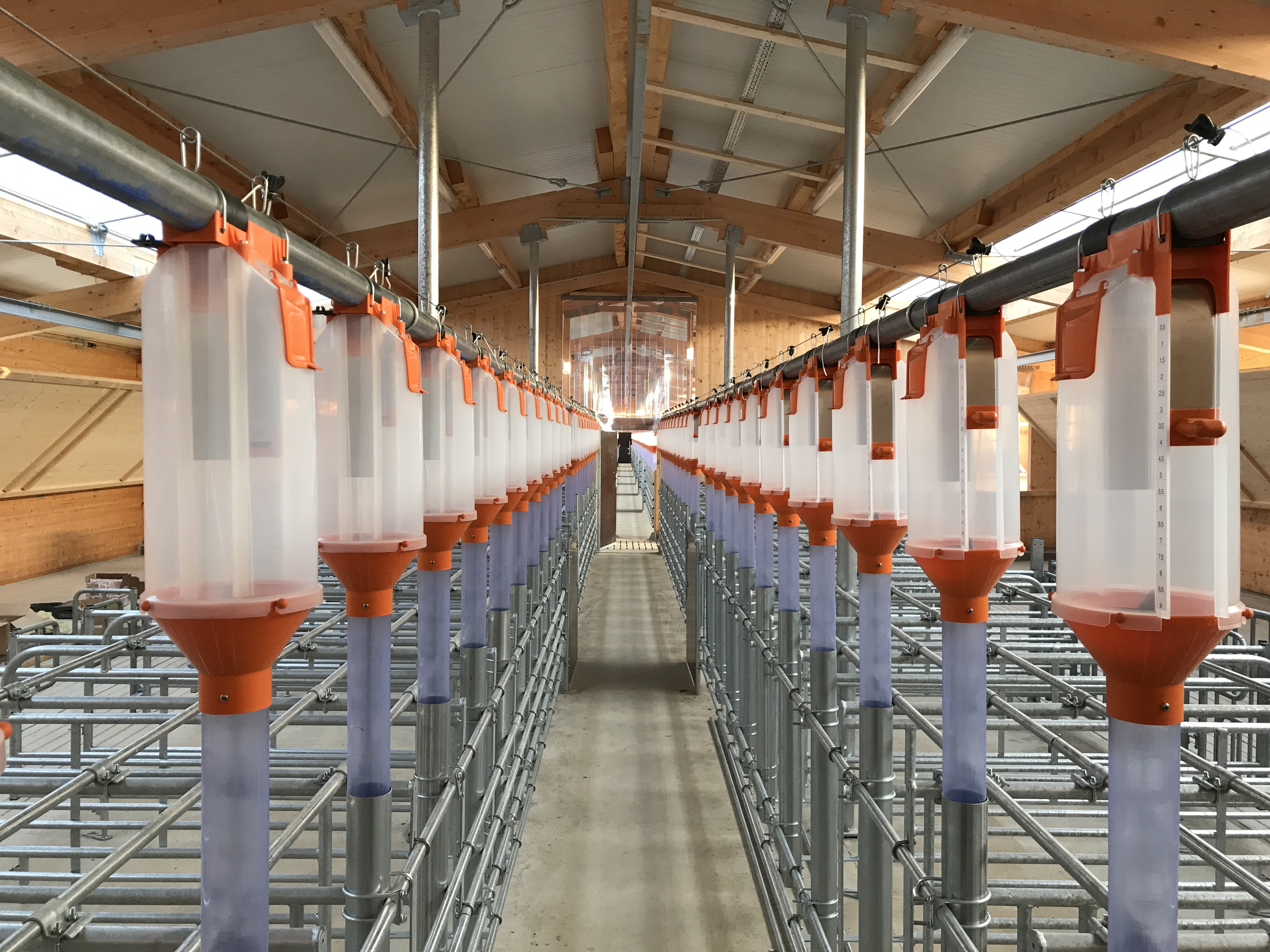 Dry Feeding - generally - Fütterungstechnik | TEWE