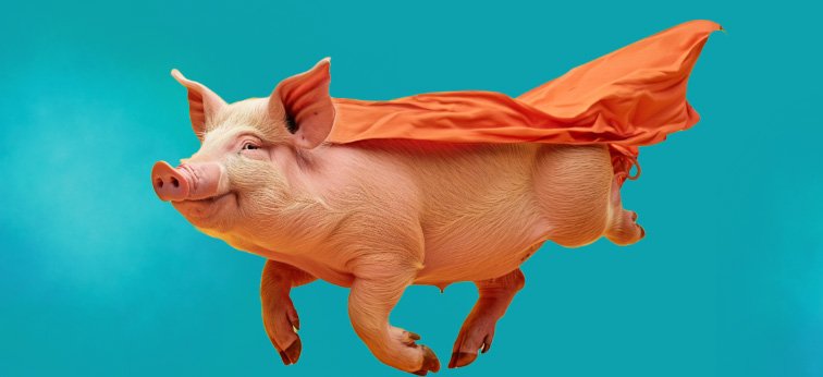 TEWE - TEWE Elektronic GmbH